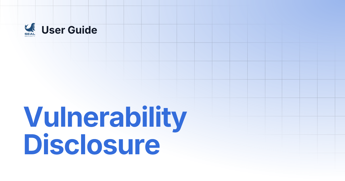 Vulnerability Disclosure | User Guide